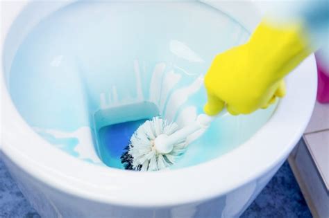 Gute WC Bürste zum Reinigen der Toilette Putzen de