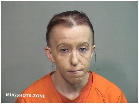 Blotnicki Nicole Barbara Mchenry County Mugshots Zone