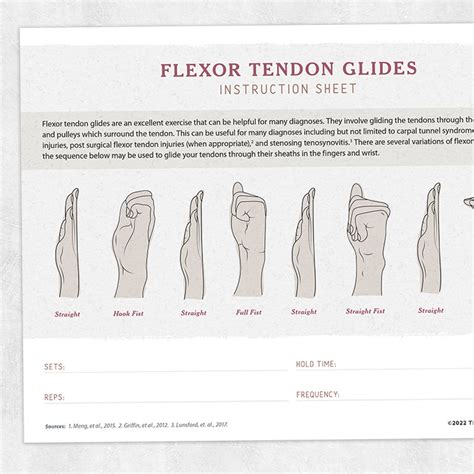 Tendon Gliding Exercises Printable