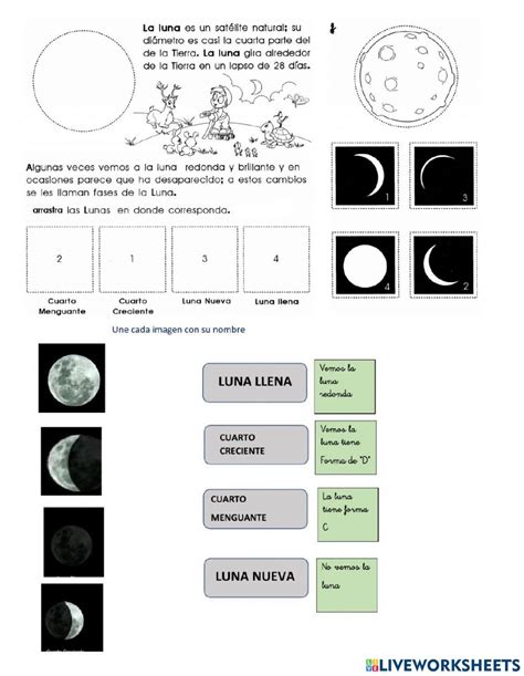 Worksheets Science Nature Moon Phases New Moon Third Grade