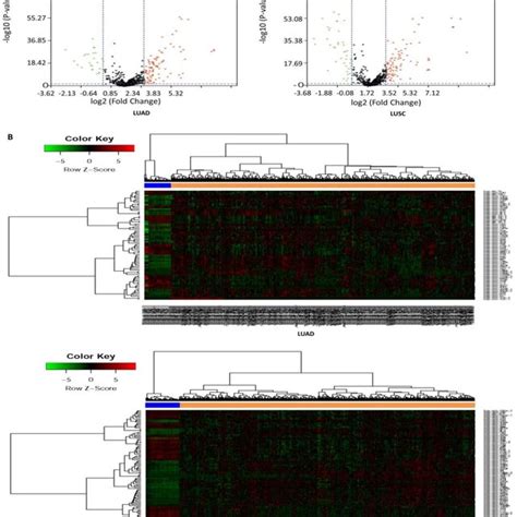 Volcano Plot And Hierarchical Clustering Of Differentially Expressed