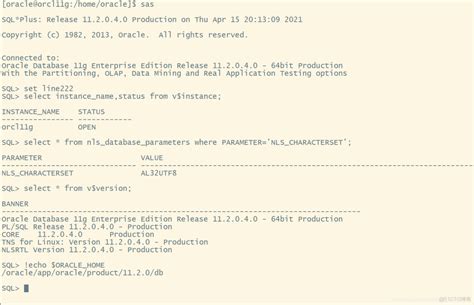 oracle一键安装11g 12c 18c 19c并建库脚本（shell脚本） 51cto博客 oracle11g导入19c