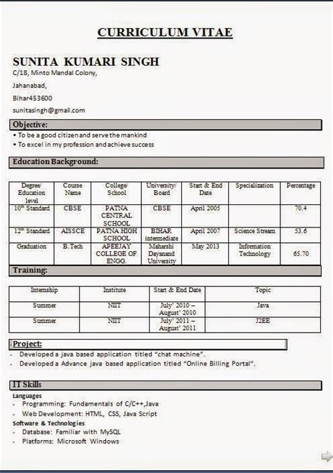 Cv Statement Examples Resume