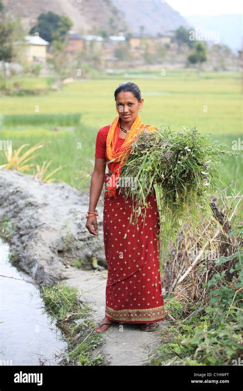 Nepali Woman In The Himalaya Stock Photo Alamy