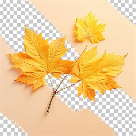 Une Feuille D érable Jaune Sur Fond Quadrillé Avec Le Mot Automne