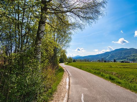 Estrada Caminho Arvores Foto Gratuita No Pixabay Pixabay