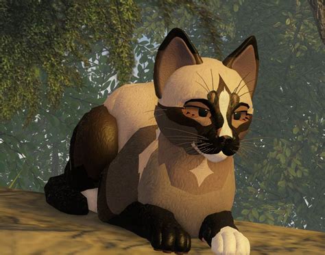 Black Brown White Wcue Morph Warrior Cats Fan Art Warrior Cats