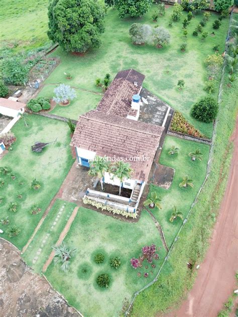 Fazenda em Muriaé MG 1568 hectares JF Fazendas