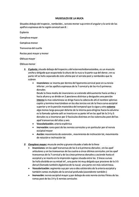 Musculos De La Nuca Khiara Celi Udocz