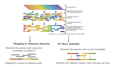 Cracking Genetic Ciphers The Secondary Ngs Analysis Pharmafeatures