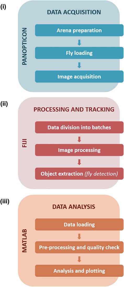 data handling and workflow data acquisition i steps with the download scientific diagram