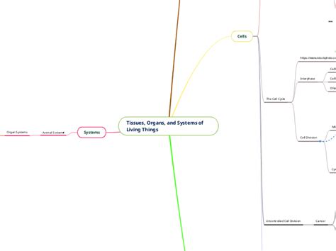 Tissues Organs And Systems Of Mindmap Voorbeeld