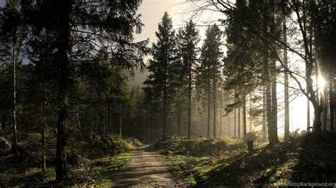 Schwarzwald Wallpapers Wallpaper Cave