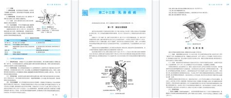 Pdf Pdf