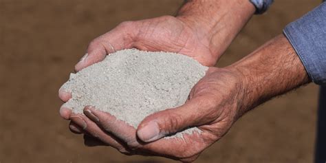 Sal mineral para bovinos entenda a importância Blog Premix