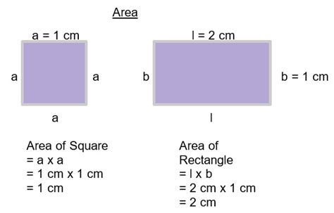 Area And Perimeter In Primary Math An Introduction Bluetree
