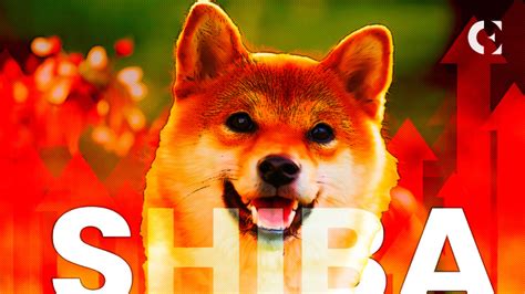 O preço de Shiba Inu está a preparar se para um rally em alta em 2023
