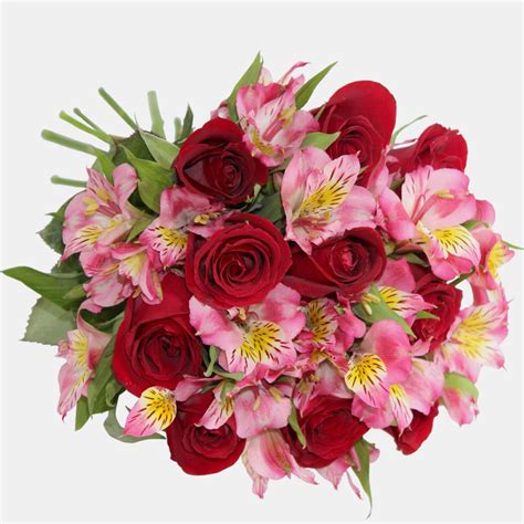 Buquê Rosas Vermelhas e Astromélias Rosa Veja Floresce