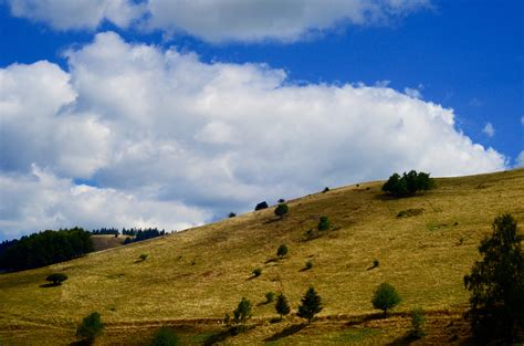 Fotos gratis paisaje árbol naturaleza césped horizonte montaña
