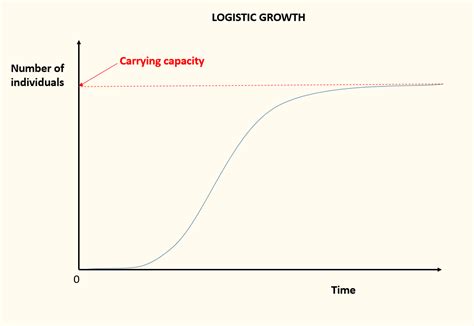 Difference Between Exponential And Logistic Growth Definition