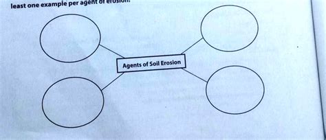 SOLVED Complete The Diagram By Filling Out The Missing Information In