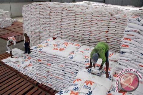 Swasembada Pangan Masih Sebatas Impian ANTARA News