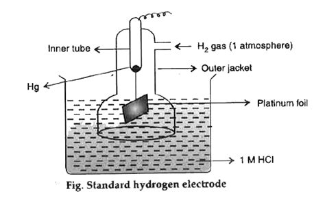 Kannada Draw A Neat Labeled Diagram Of Standard Hydrogen Electrode