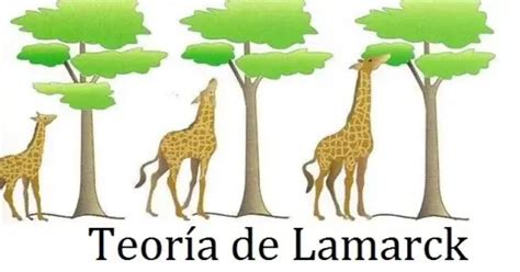 La Gran Diferencia Darwin Vs Lamarck Utopixe
