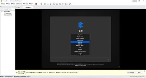 macos虚拟机安装全过程（vmware17） csdn博客