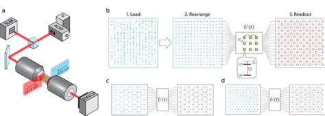 programmable two dimensional arrays of strongly interacting rydberg download scientific diagram