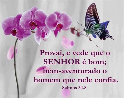 Provai e vede que o Senhor é bom Bem aventurado o homem que nele confia