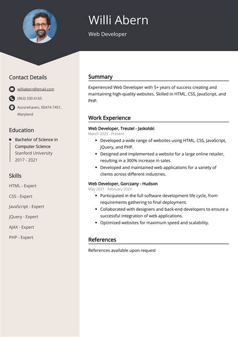 Web Developer Cv Examples Guide