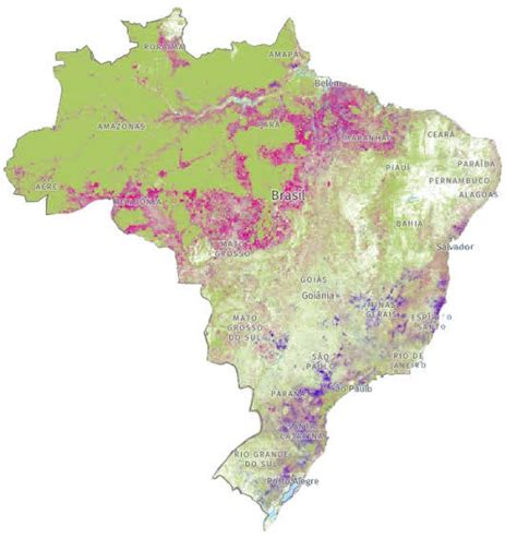 Biodiversidade Brasileira on Twitter Política e meio ambiente Mapa