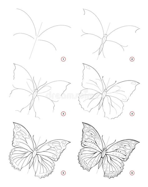 Esercitazione Del Disegno Come Disegnare Una Farfalla Illustrazione
