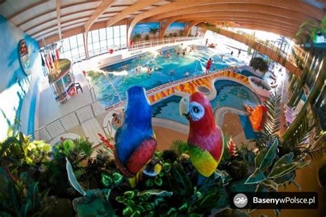 Basen Park Wodny Tarnowskie G Ry Basenywpolsce Pl Baseny Aquaparki