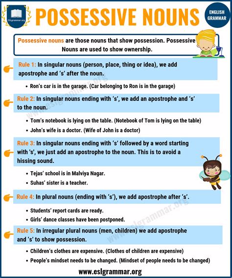 Nouns Types Of Nouns With Definition Rules Useful Examples ESL