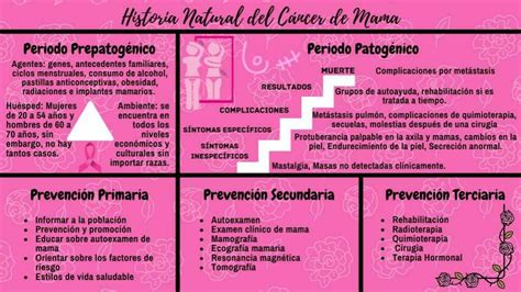 Historia Natural De La Enfermedad Cancer De Mama Periodo Pre Images