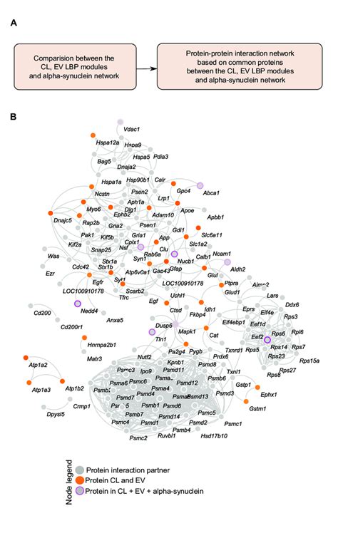 Figure S Protein Protein Interaction Network Of Alpha Synuclein