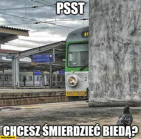 Psst memy Paczaizm pl memy polityczne śmieszne obrazki dowcipy