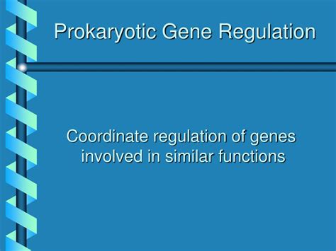 Ppt Prokaryotic Gene Regulation Powerpoint Presentation Free