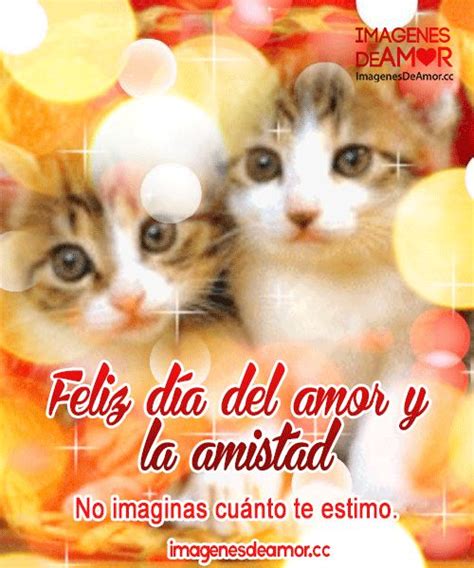 17 Imágenes de San Valentín con movimiento y frases de amor Imagenes