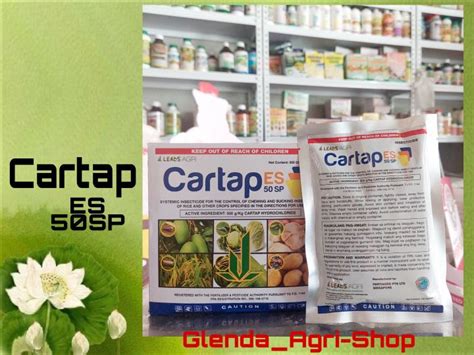Leads Agri CARTAP ES 50SP Systemic Insecticide 100grams Lazada PH
