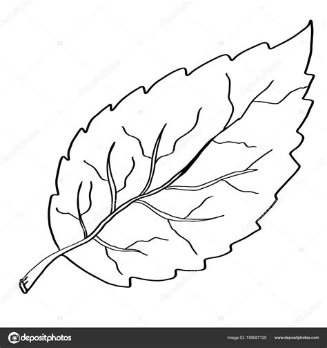 Hojas Para Colorear