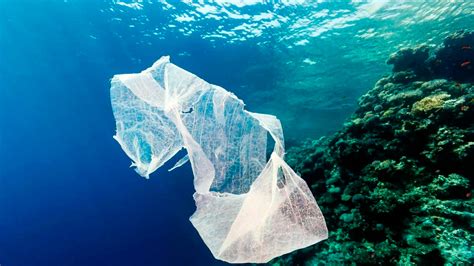 Cómo afecta a tu salud la contaminación que produce el plástico El