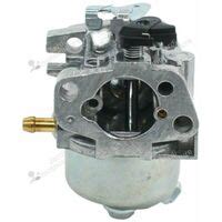 Carburateur Moteur M Tondeuse Ggp Castelgarden Stiga Alpina