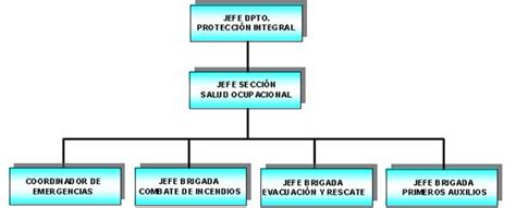 Organigrama De Emergencia
