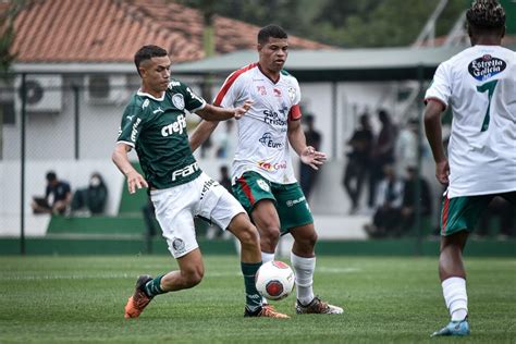 Onde Assistir Ao Vivo Palmeiras X Portuguesa Pelo Paulista Sub 20