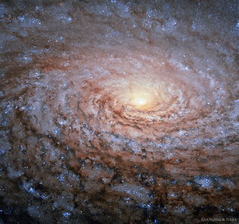 Apod November M The Sunflower Galaxy From Hubble