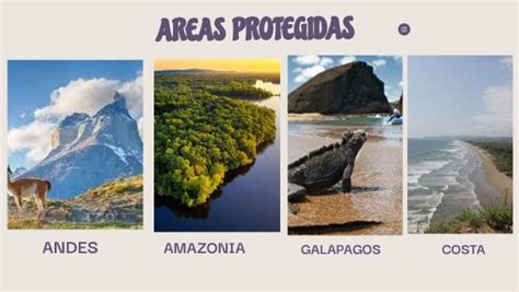 Areas Protegidas Del Ecuador