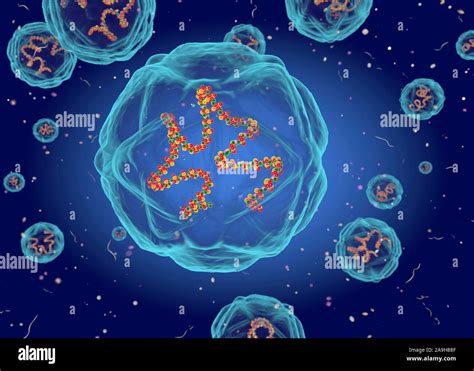 Pericarditis fotografías e imágenes de alta resolución Alamy